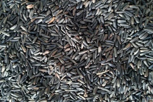 Kunal Dry Fruits